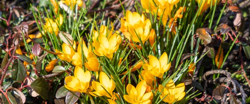 Nordheim - Startseite